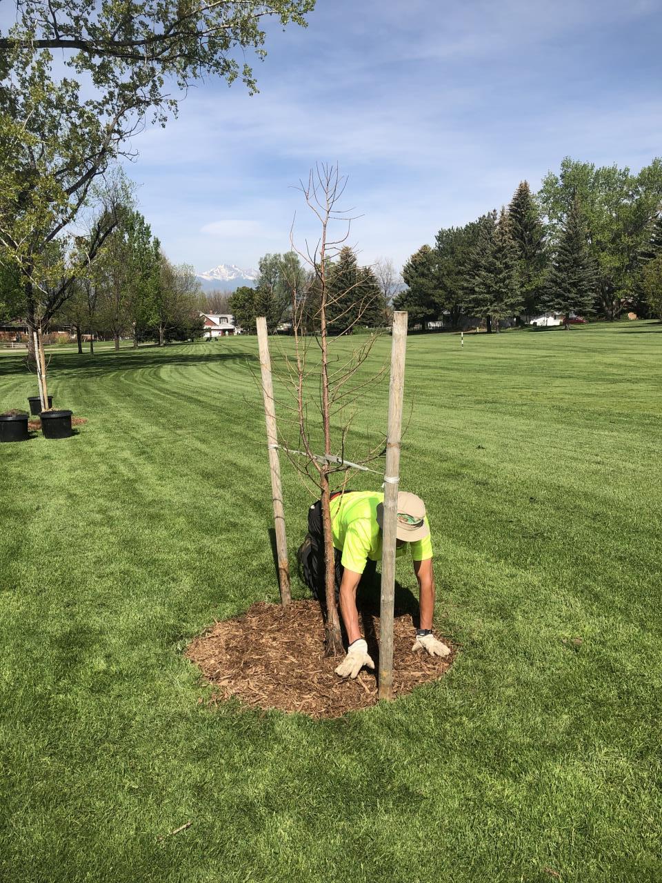 40.º aniversario de Tree City USA para Longmont - Ciudad de Longmont