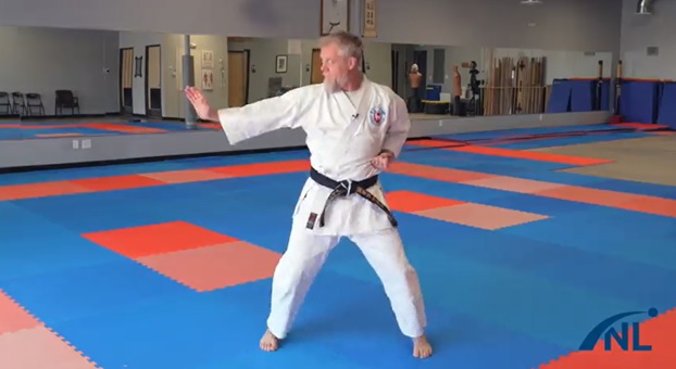 Faces of NextLight: Wado-Kai Karate (Full Speed Ahead blog) - City of ...