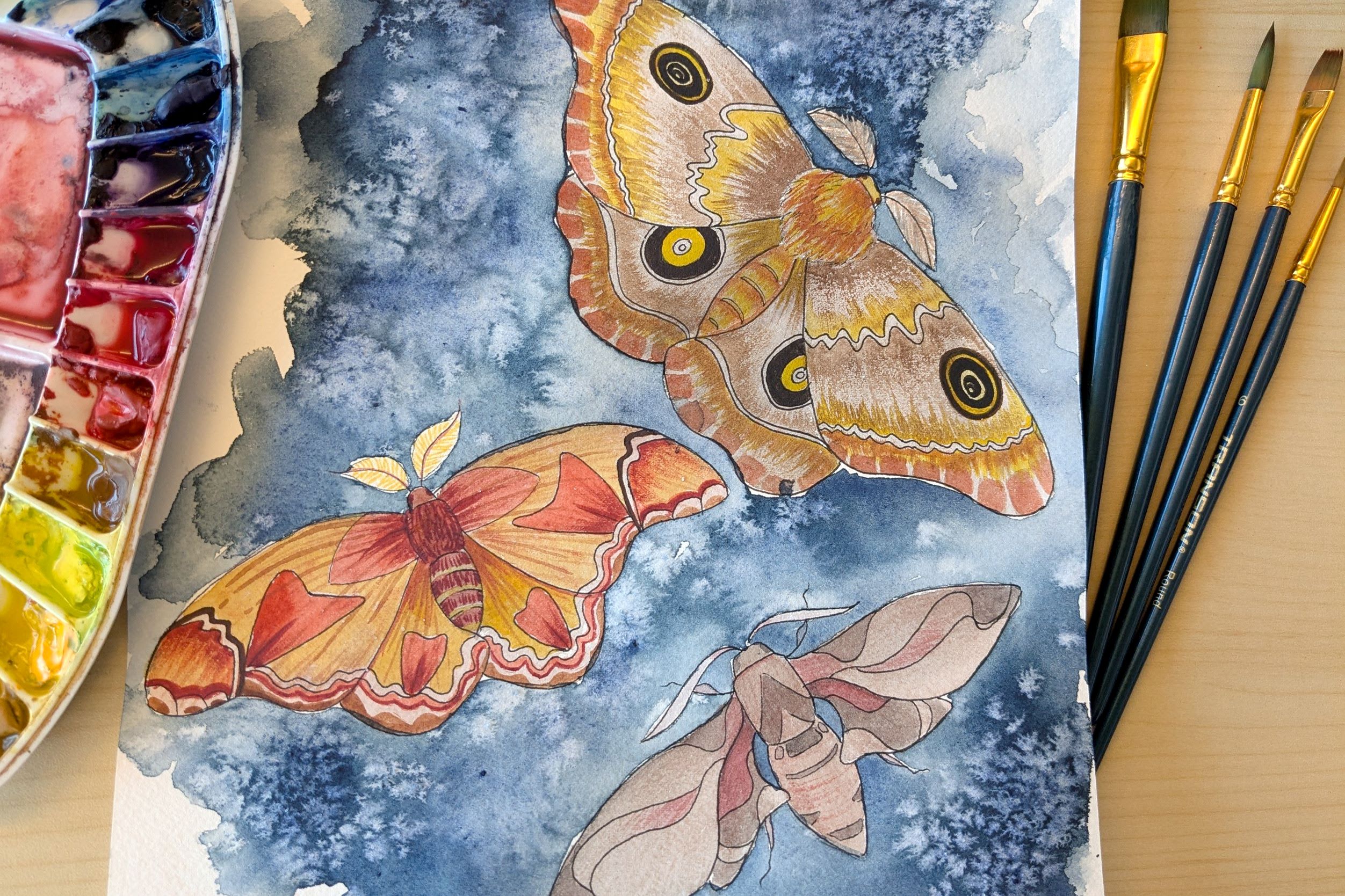 Art & Sip: Nocturnal Moth Watercolor - City of Longmont
